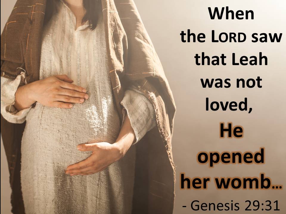 Genesis – Scripture Picture