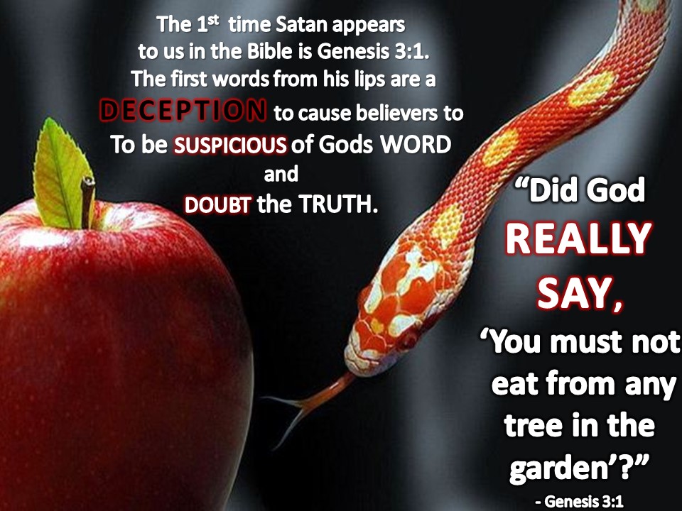 Genesis – Scripture Picture