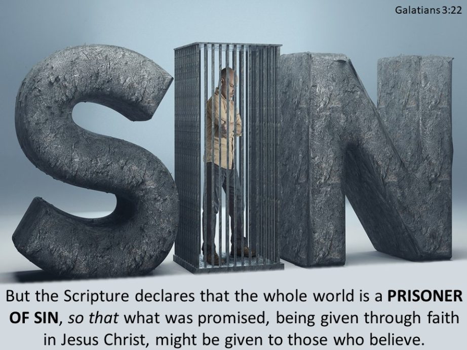 Galatians – Scripture Picture