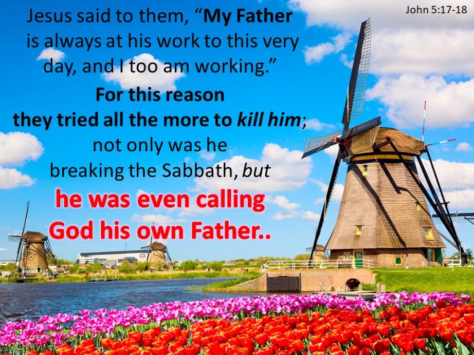 John – Scripture Picture