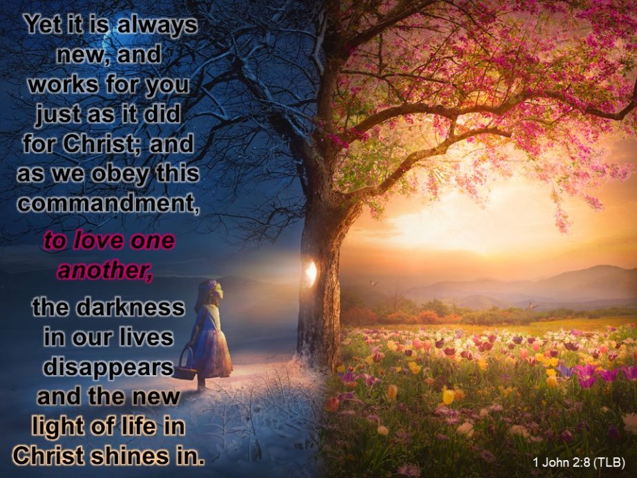 1 John – Scripture Picture