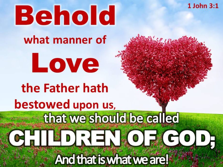 1 John – Scripture Picture