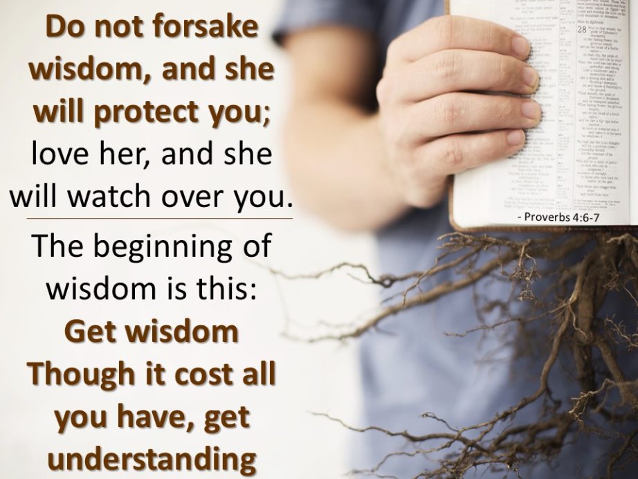 Proverbs – Scripture Picture