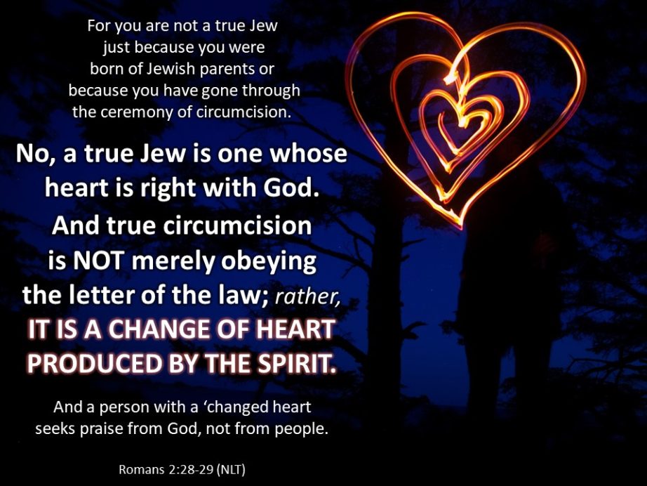 Romans – Scripture Picture